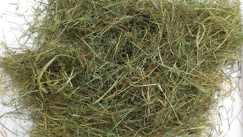 Heu 1. & 3. Schnitt Quaderballen